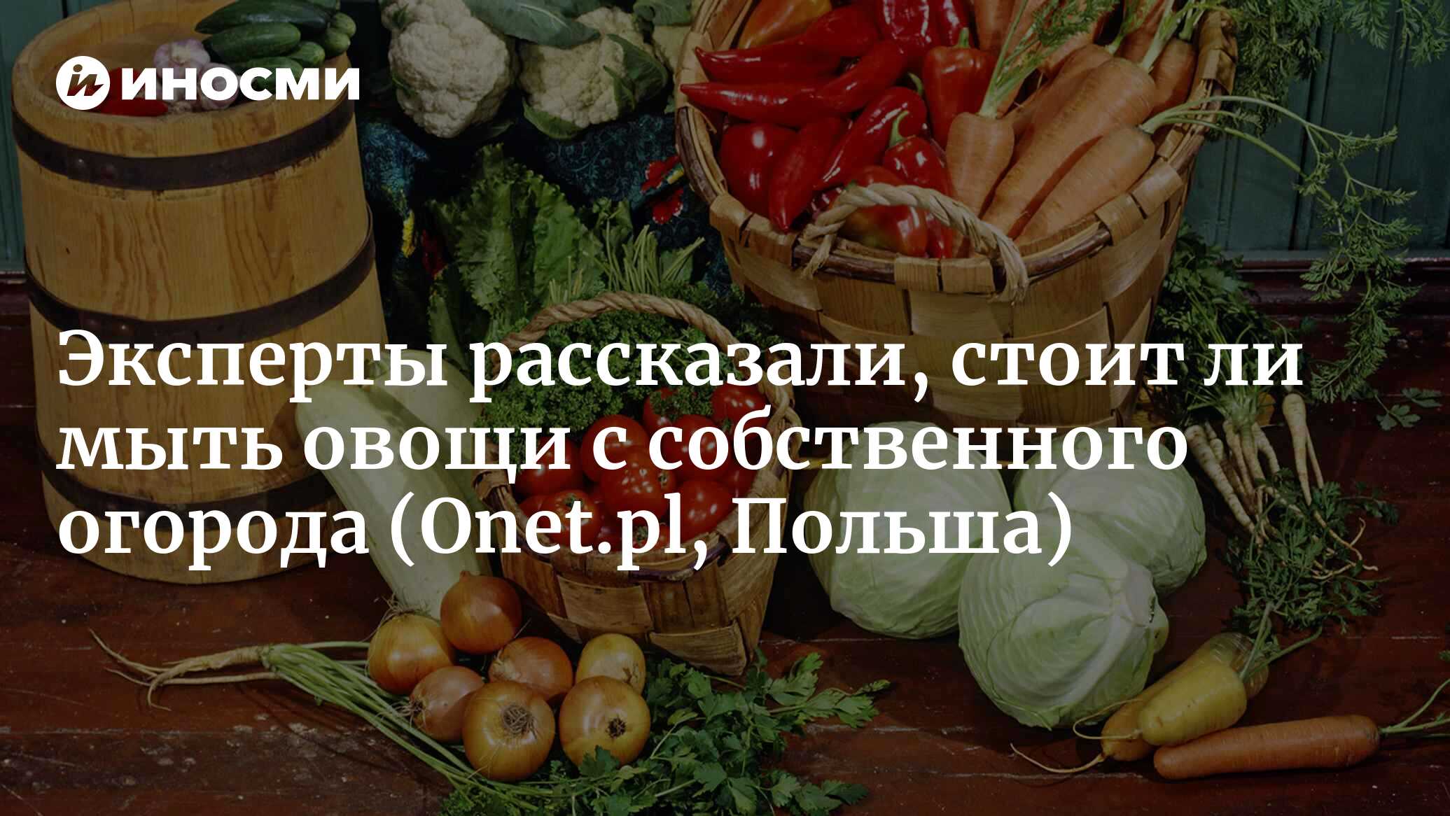 Нужно ли мыть овощи и фрукты, выращенные в собственном саду? Выясняем ...